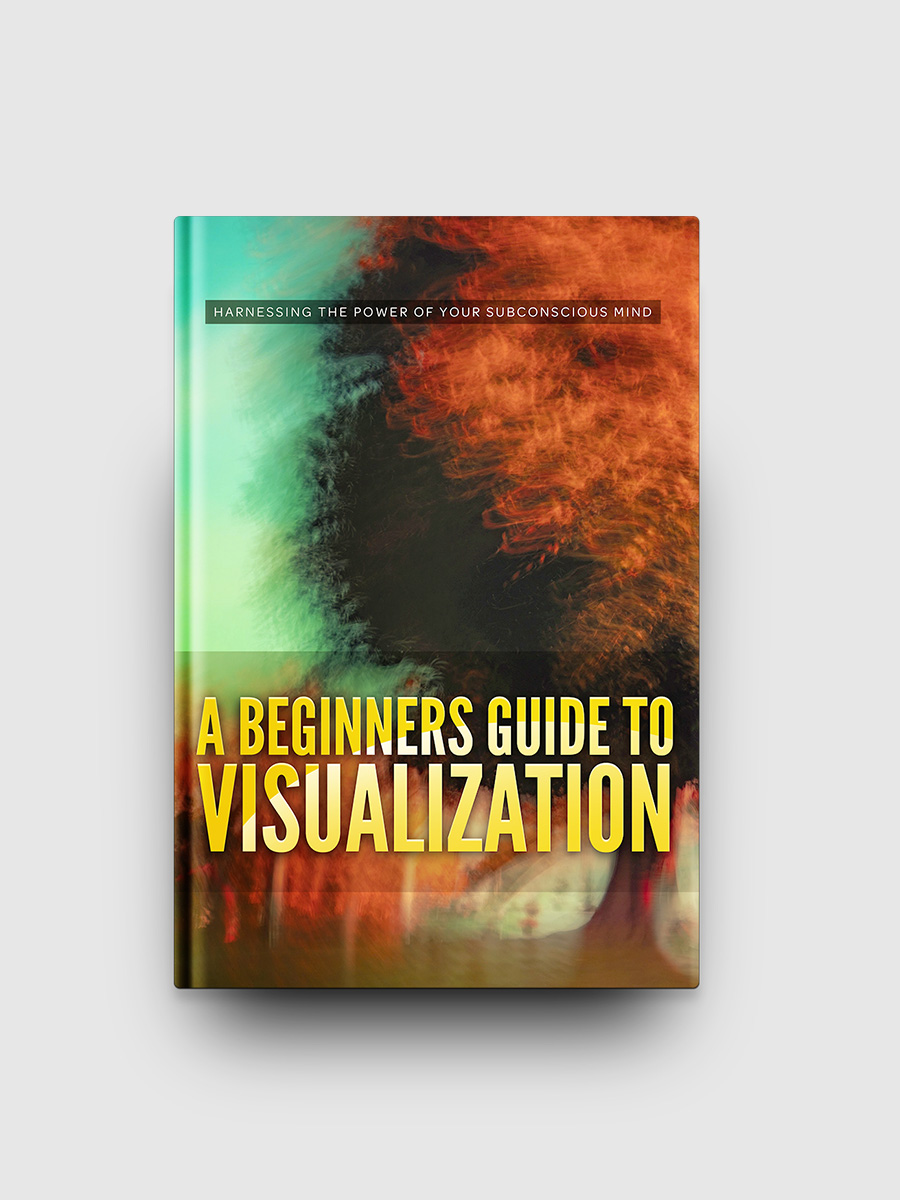 A Beginners Guide To Visualization | The Life Hack Library