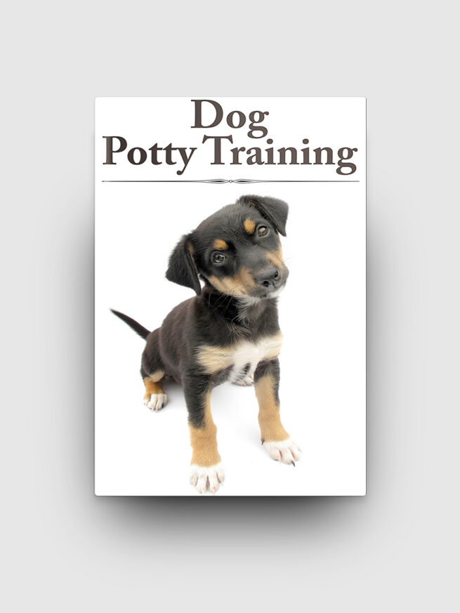 Dog Potty Training – The Life Hack Library