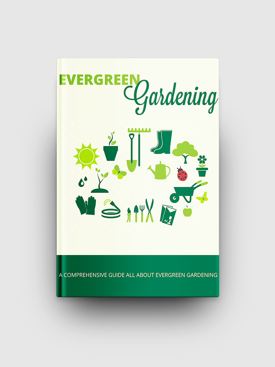 Evergreen Gardening | The Life Hack Library